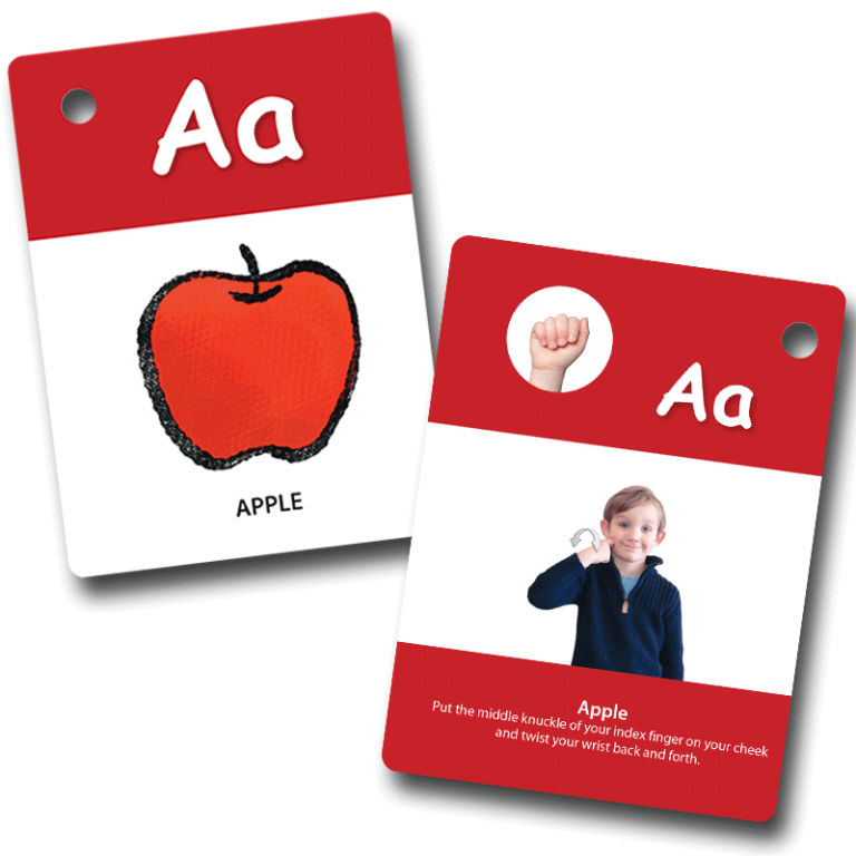 Combo Pack Flash Cards - My Smart Hands - Baby Sign Language